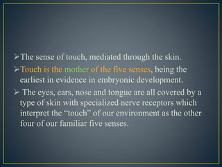 Sense of TOUCH | PPTX