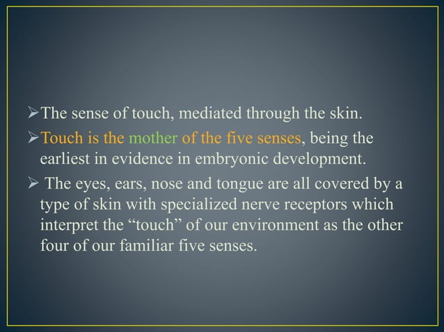 Sense of TOUCH | PPTX | Biological Sciences | Science