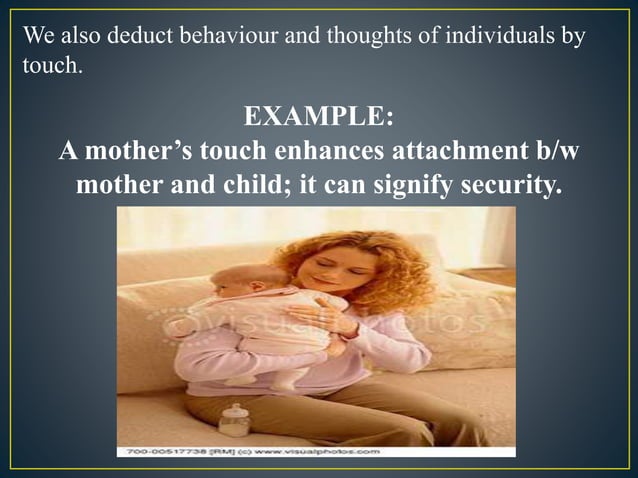 Sense of TOUCH | PPTX | Biological Sciences | Science