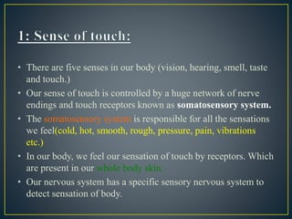 Sense of TOUCH | PPTX