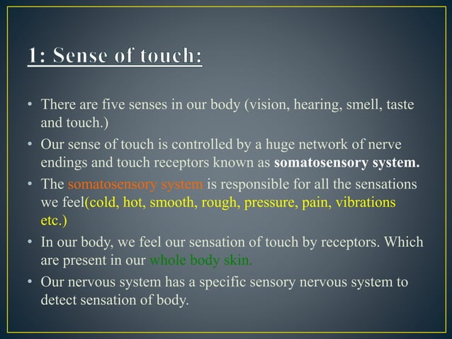 Sense of TOUCH | PPTX | Biological Sciences | Science