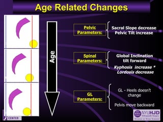 Spine Natural History Through Human Life | PPT