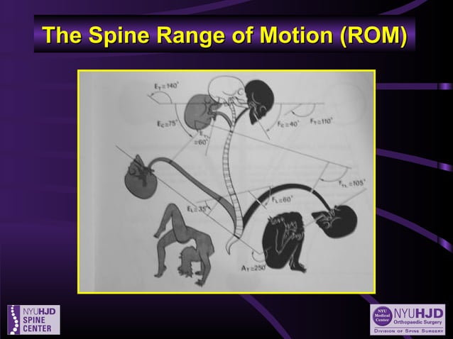 Spine Natural History Through Human Life | PPT
