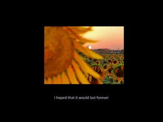 Farewell my last goodbye | PPT