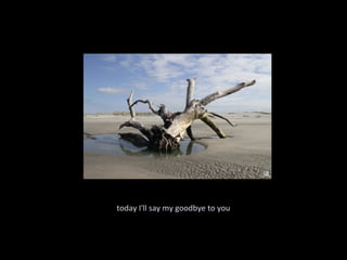 Farewell my last goodbye | PPT