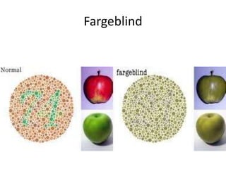 Naturfag farger | PPTX