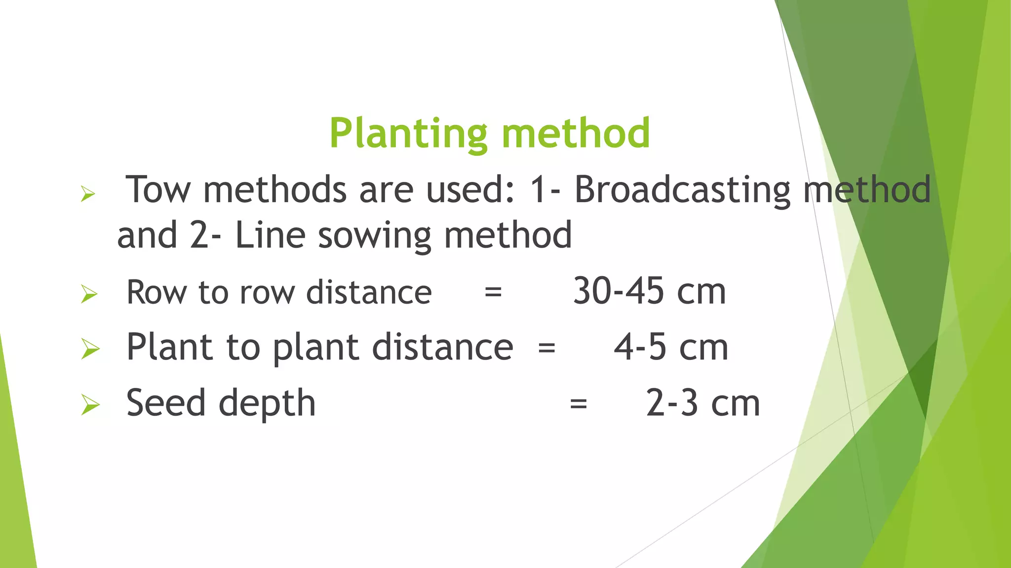 Production technology of canola oil crop by Muhammad Farhan | PPTX