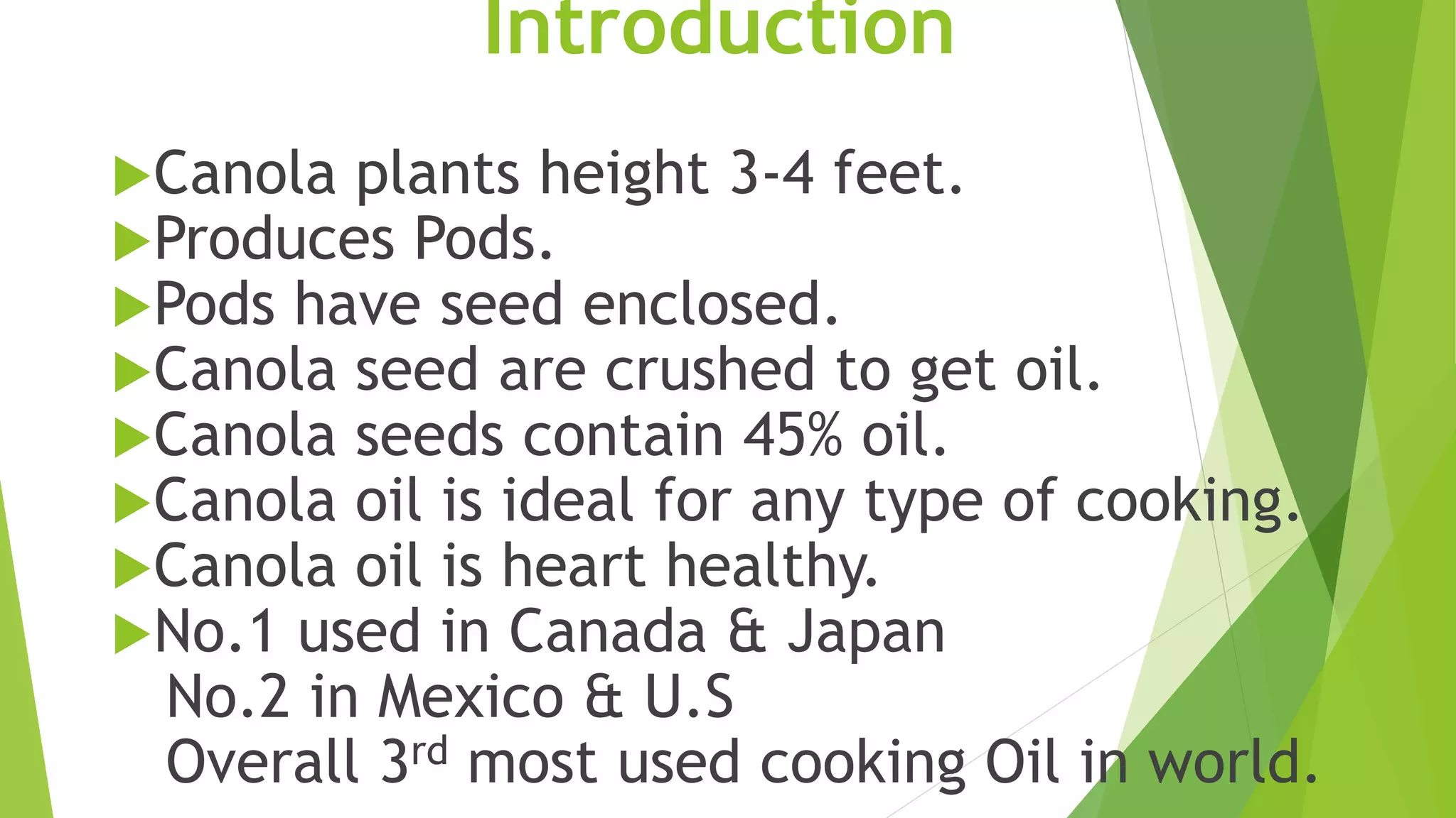 Production technology of canola oil crop by Muhammad Farhan | PPTX
