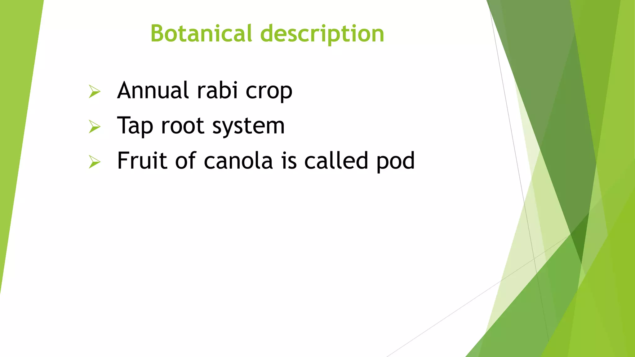 Production technology of canola oil crop by Muhammad Farhan | PPTX