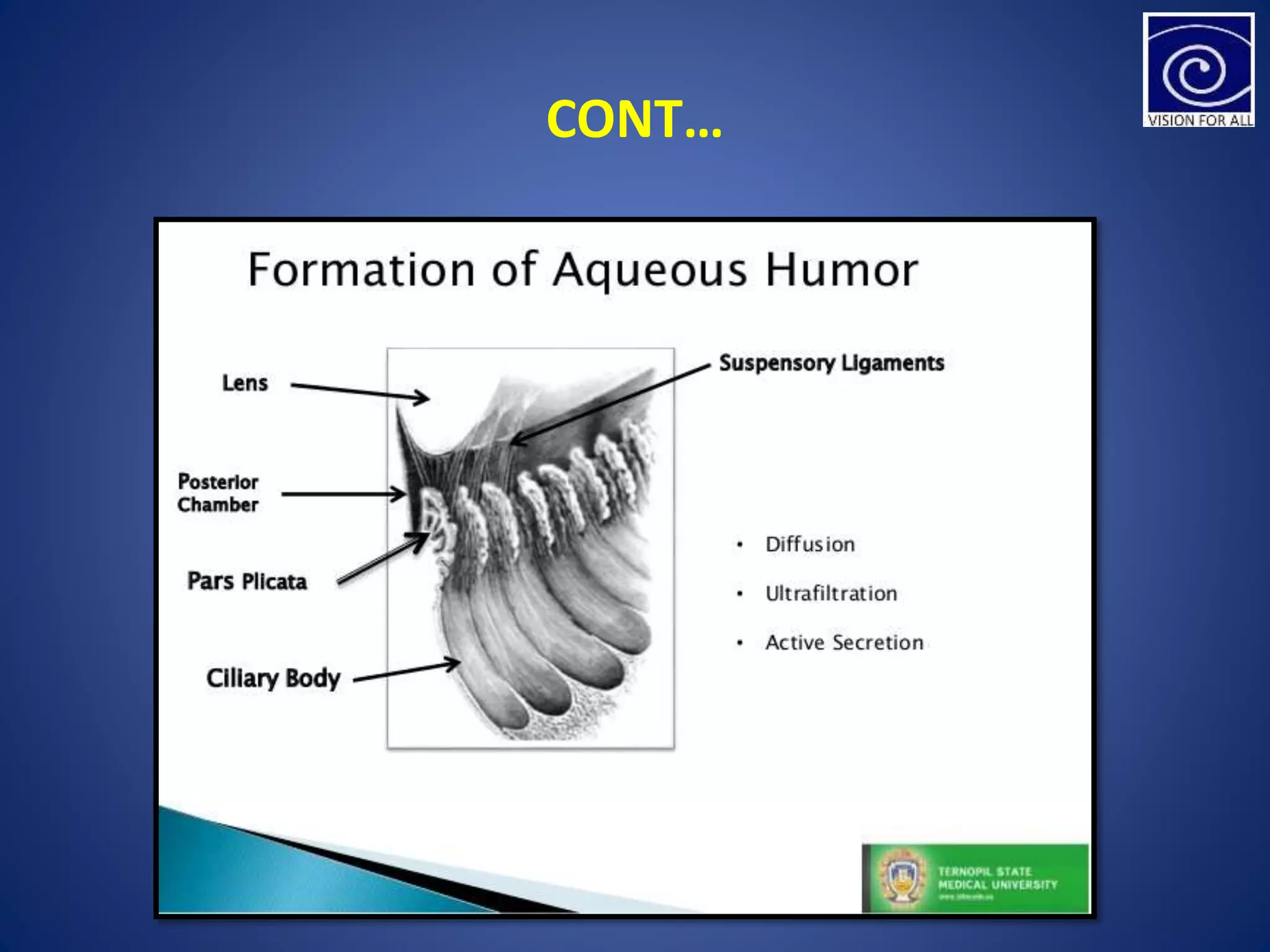 Aqueous humour products and drainage | PPTX