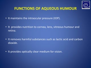Aqueous humour products and drainage | PPTX