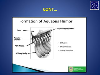 Aqueous humour products and drainage | PPTX