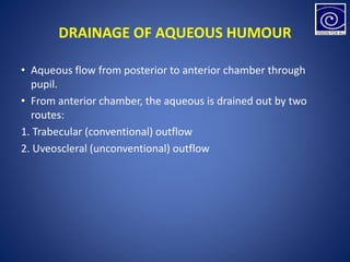 Aqueous humour products and drainage | PPTX