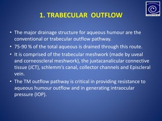 Aqueous humour products and drainage | PPTX