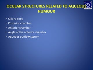 Aqueous humour products and drainage | PPTX