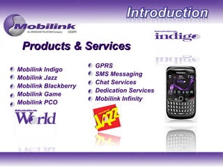 hr final project on mobilink GSM | PPT