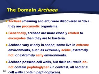 Faridchapter4microbiology | PPT
