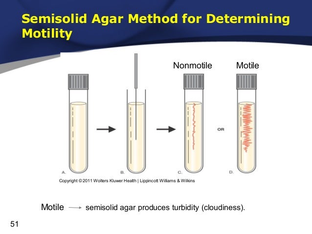 Faridchapter4microbiology