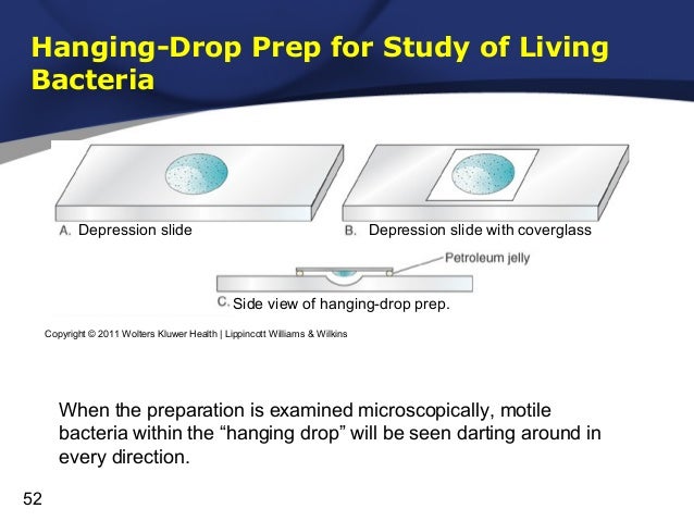 Faridchapter4microbiology