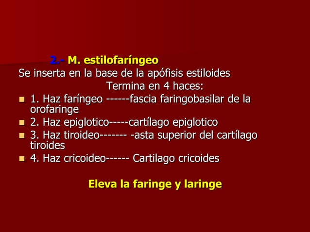 Anatomía de la faringe(Básicamente según Rouviere) | PPTX
