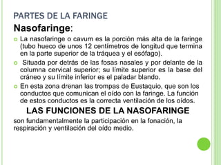 anatomia de la Faringe | PPTX