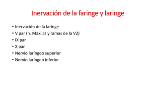 FARINGE.pptx