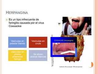 Faringe cuidados | PPT