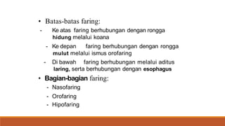 Faringitis Reviews Lecture for Medstudent | PPTX