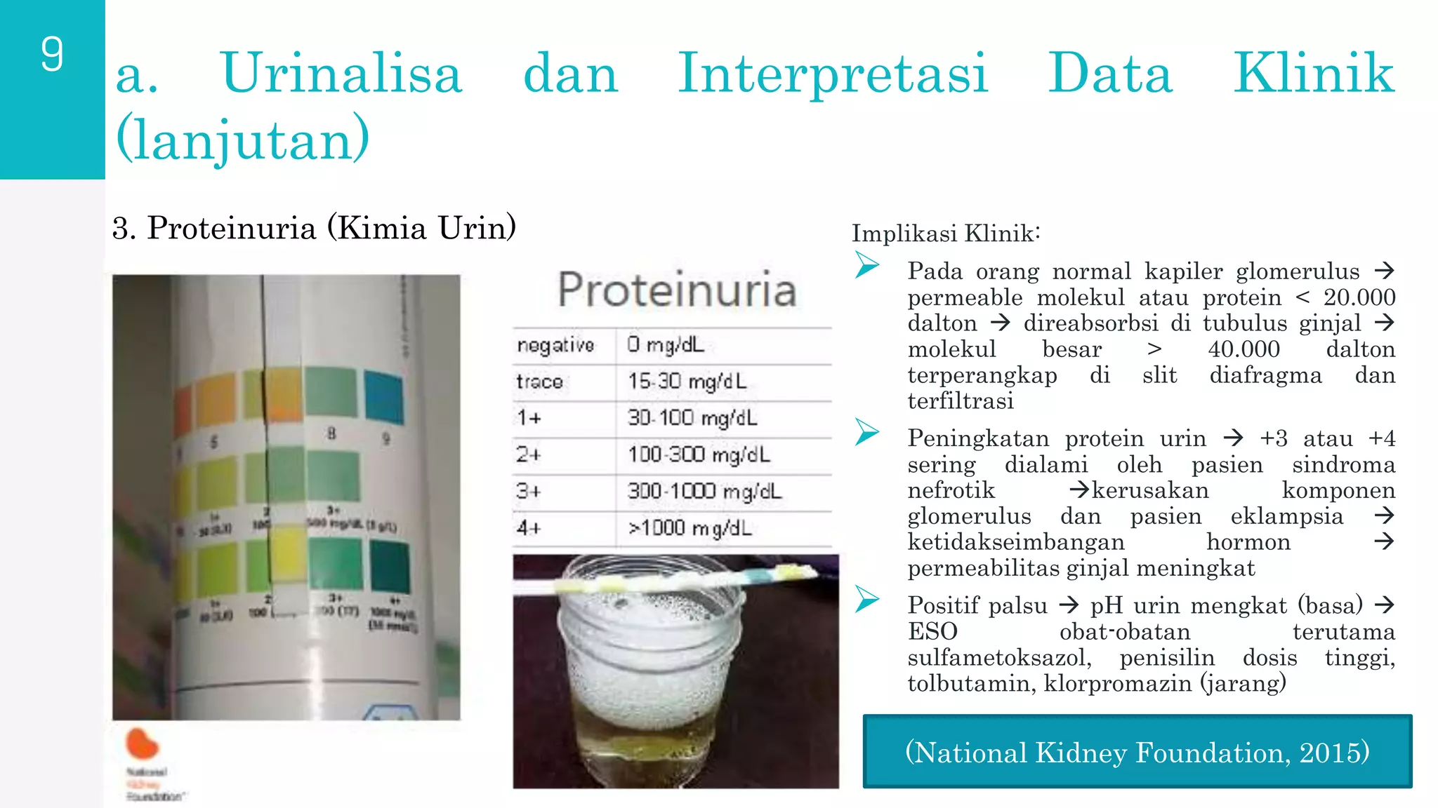 Materi Kuliah Farmasi Klinik Interpretasi Data Klinik Ginjal Mahasiswa Semester VI | PPT