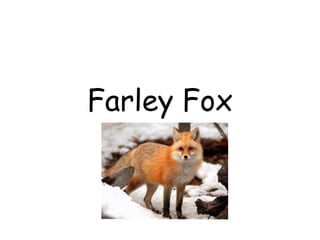 Farley fox | PPTX