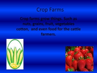 Farm | PPTX
