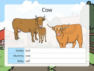 Farm-Animal-Families-Powerpoint kereen.ppt