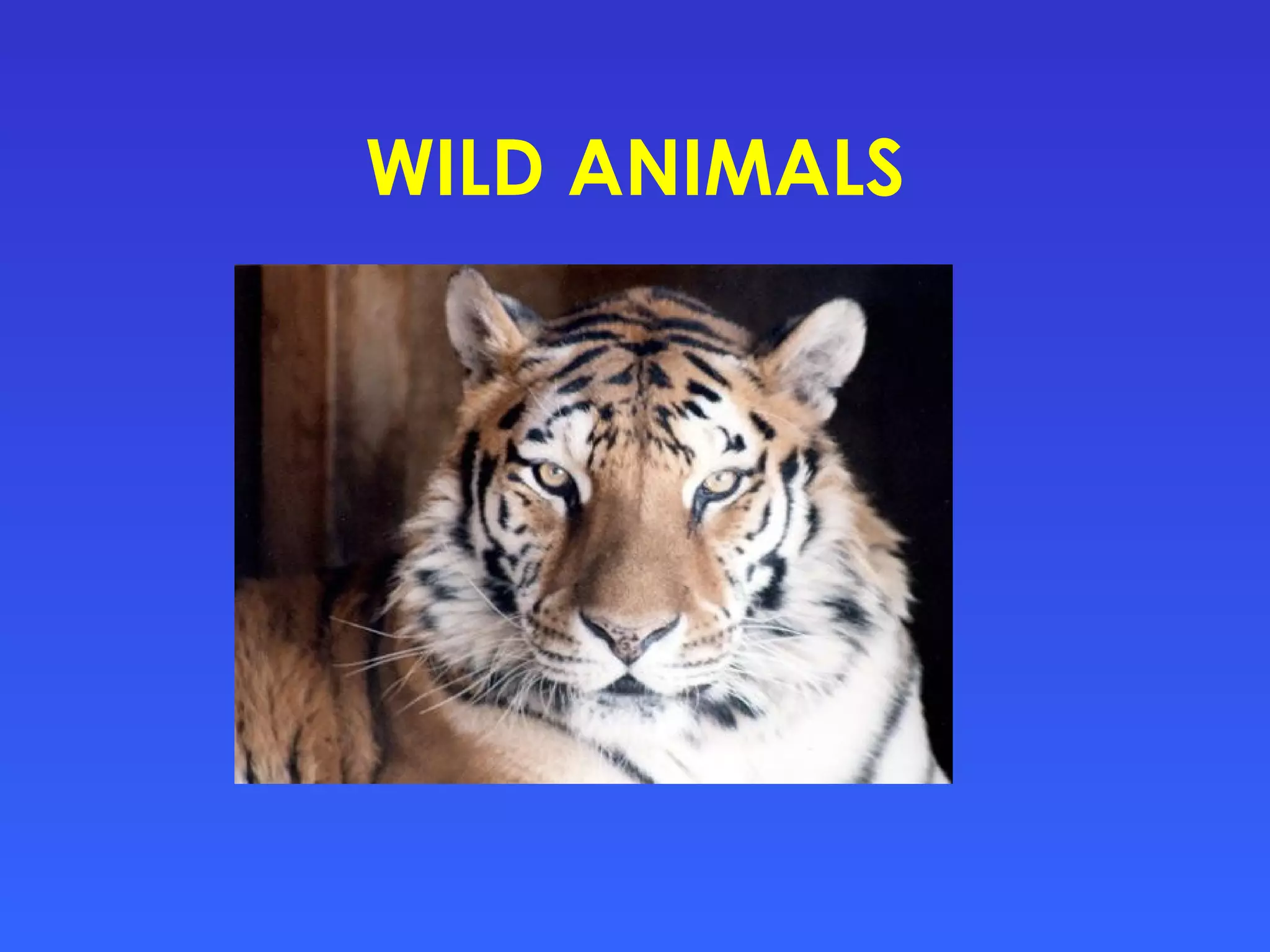 Farm.pet.wild.animals.1st grade | PPT