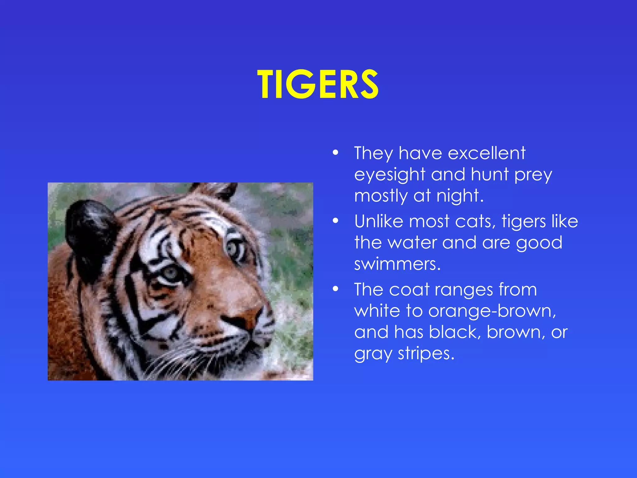 Farm.pet.wild.animals.1st grade | PPT
