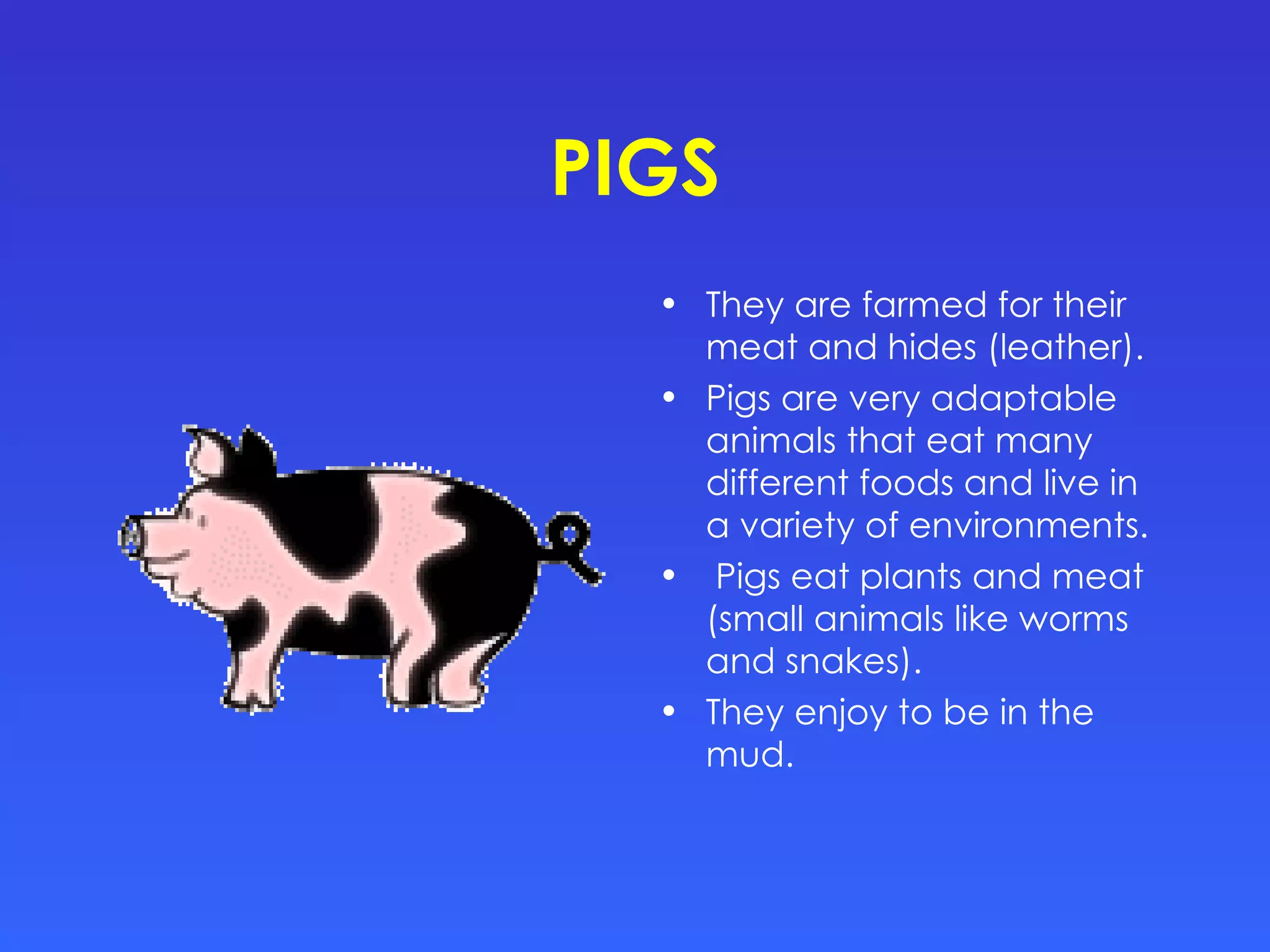 Farm.pet.wild.animals.1st grade | PPT