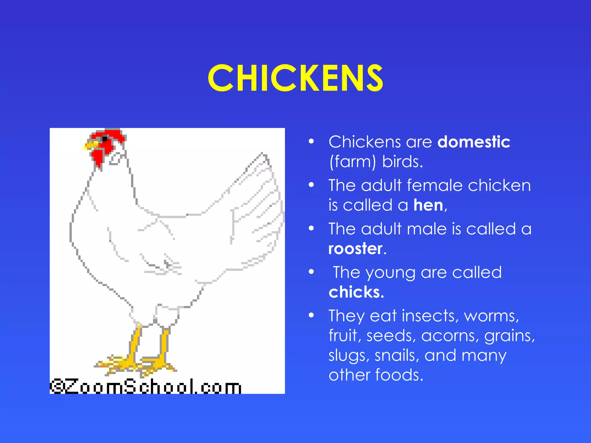 Farm.pet.wild.animals.1st grade | PPT