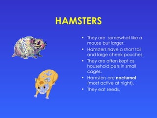 Farm.pet.wild.animals.1st grade | PPT | Birds | Pets