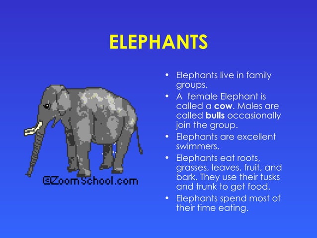 Farm.pet.wild.animals.1st grade | PPT | Birds | Pets