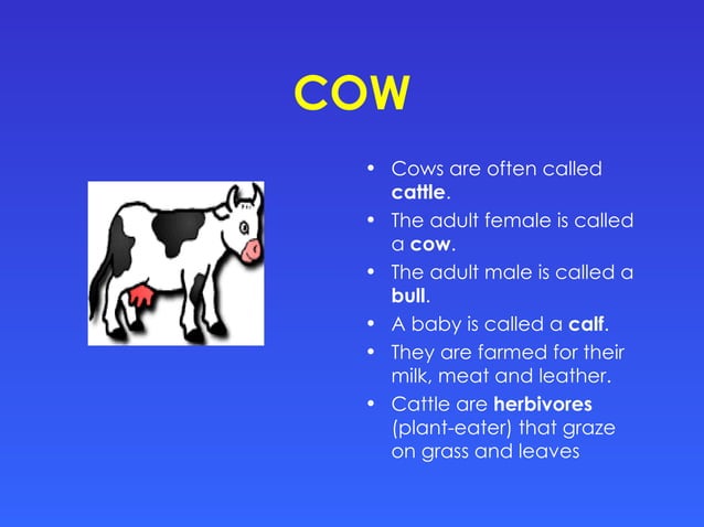 Farm.pet.wild.animals.1st grade | PPT | Birds | Pets