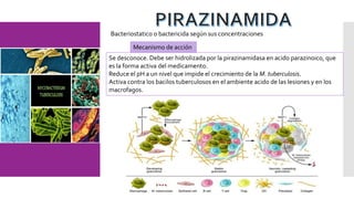 Farma 12 antimicobacterianos p | PPTX