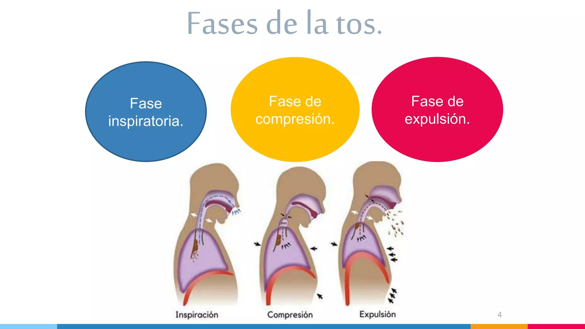 Farmacos antitusigenos, mucoliticos y expectorantes | PPTX