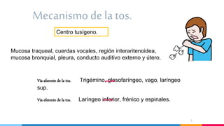 Farmacos antitusigenos, mucoliticos y expectorantes | PPTX