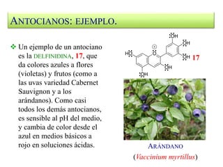 Farma 3 | PPTX