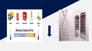 FARMACIA HOSPITALARIA ESPERO SEA DE UTILIDAD | PDF