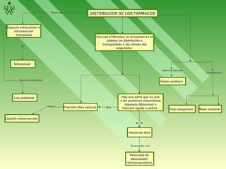 FARMACOCINETICA | PPT