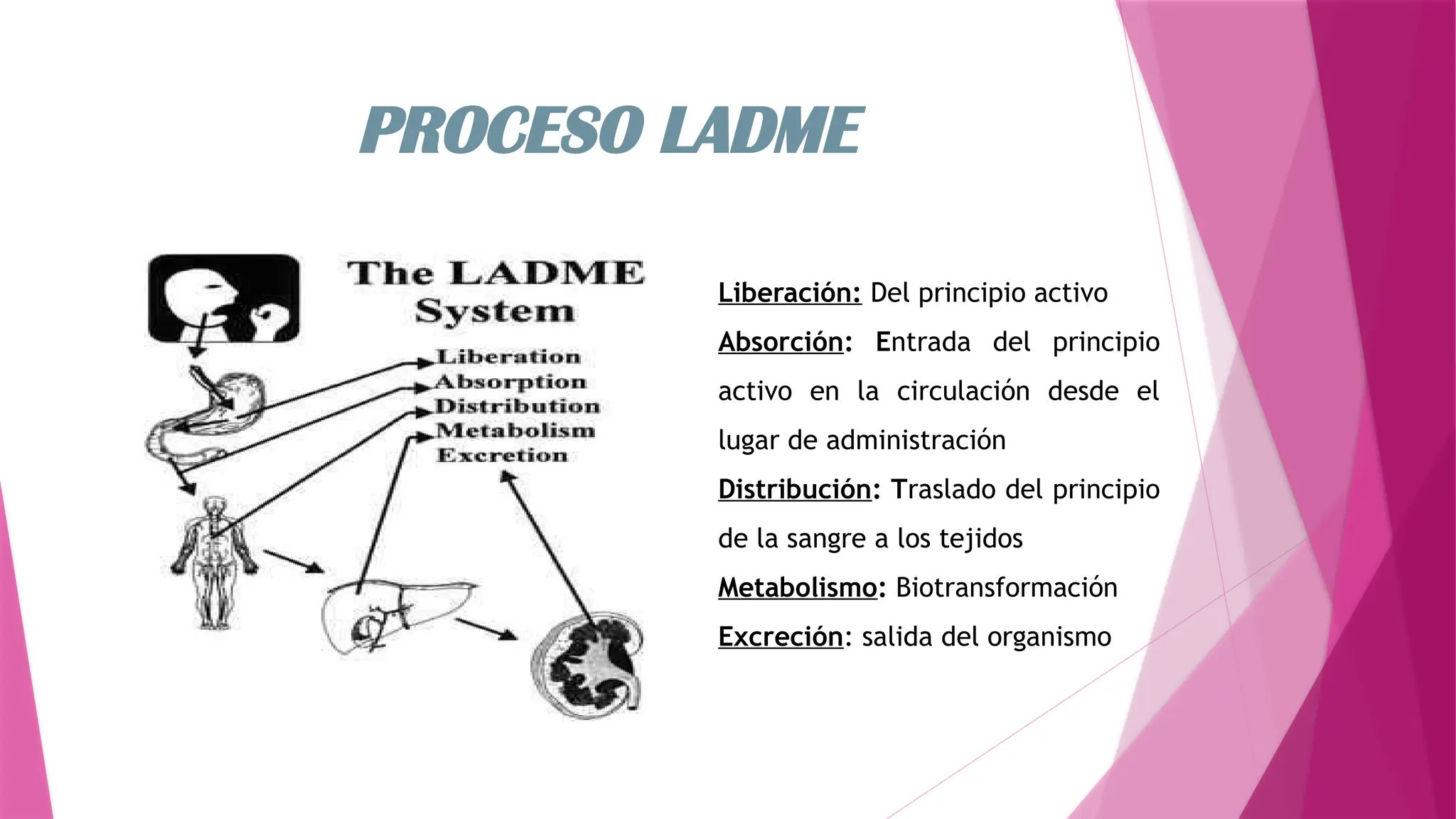 Farmacocinetica o farmacología y proceso LADME | PPTX