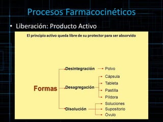 Farmacocinetica IPN CICS UST | PPTX