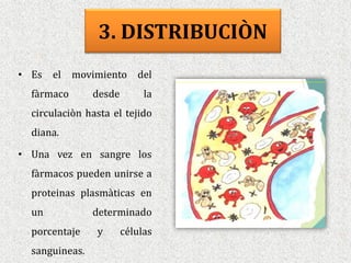 Farmacocinetica y farmacodinamica | PDF