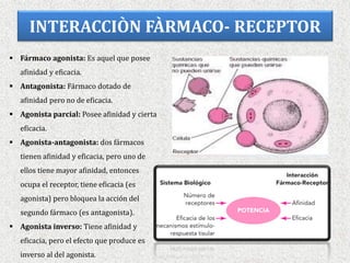 Farmacocinetica Y Farmacodinamica Pdf