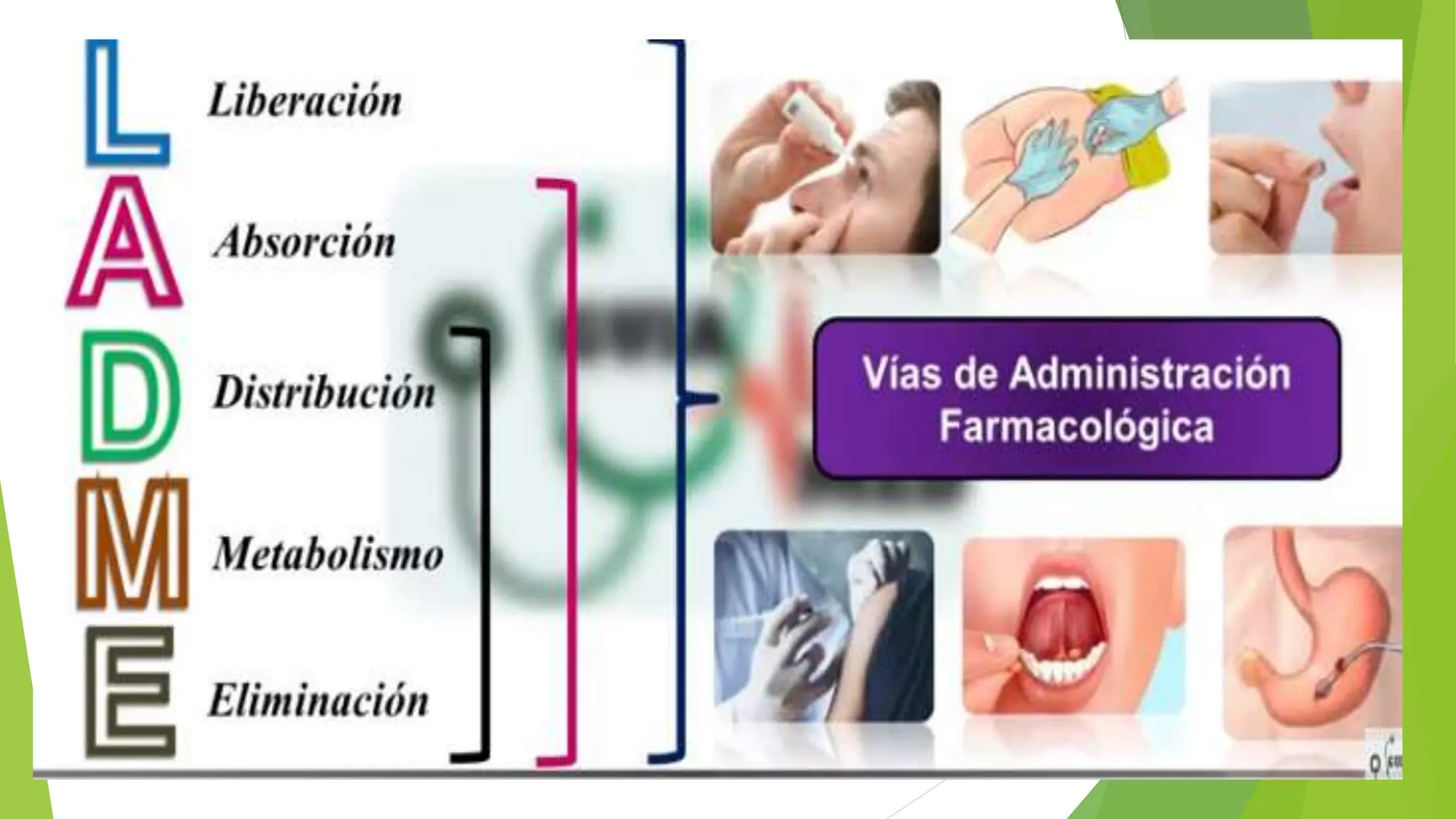 FARMACOCINETICA Y SISTEMA LADME (1).pptx